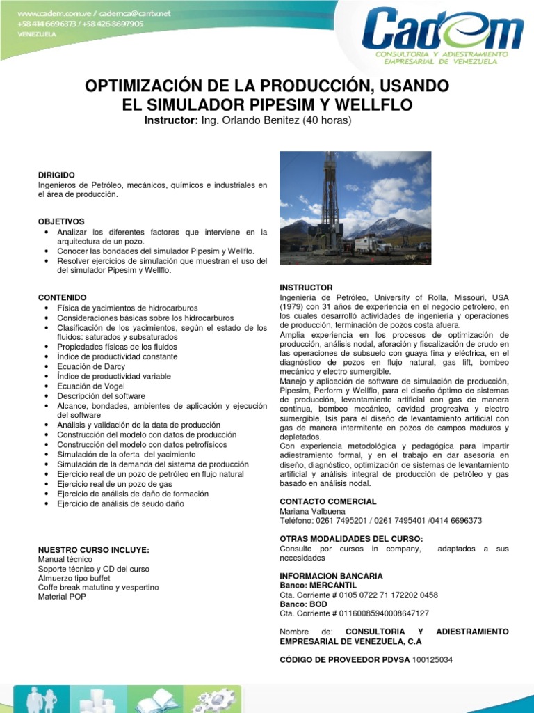 Optimización de La Producción Usando El Simulador Pipesim y Wellflo | PDF | Ingeniería | Science