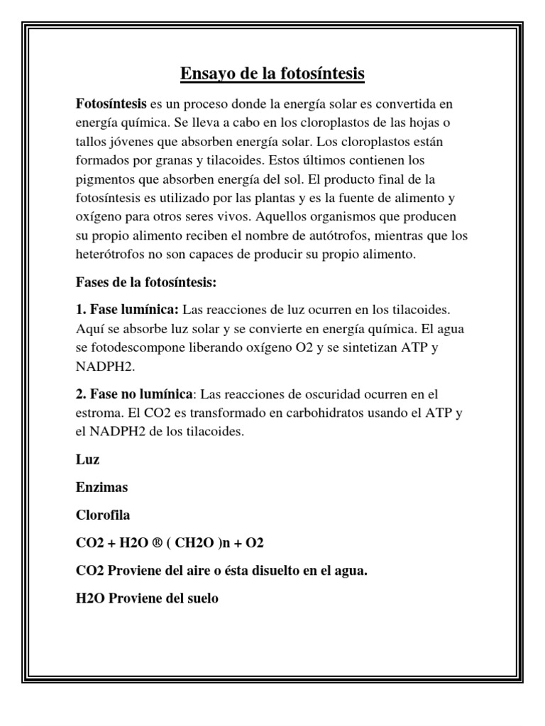 Proceso De La Fotosíntesis Explicado Pdf Ciencia Y Matemáticas