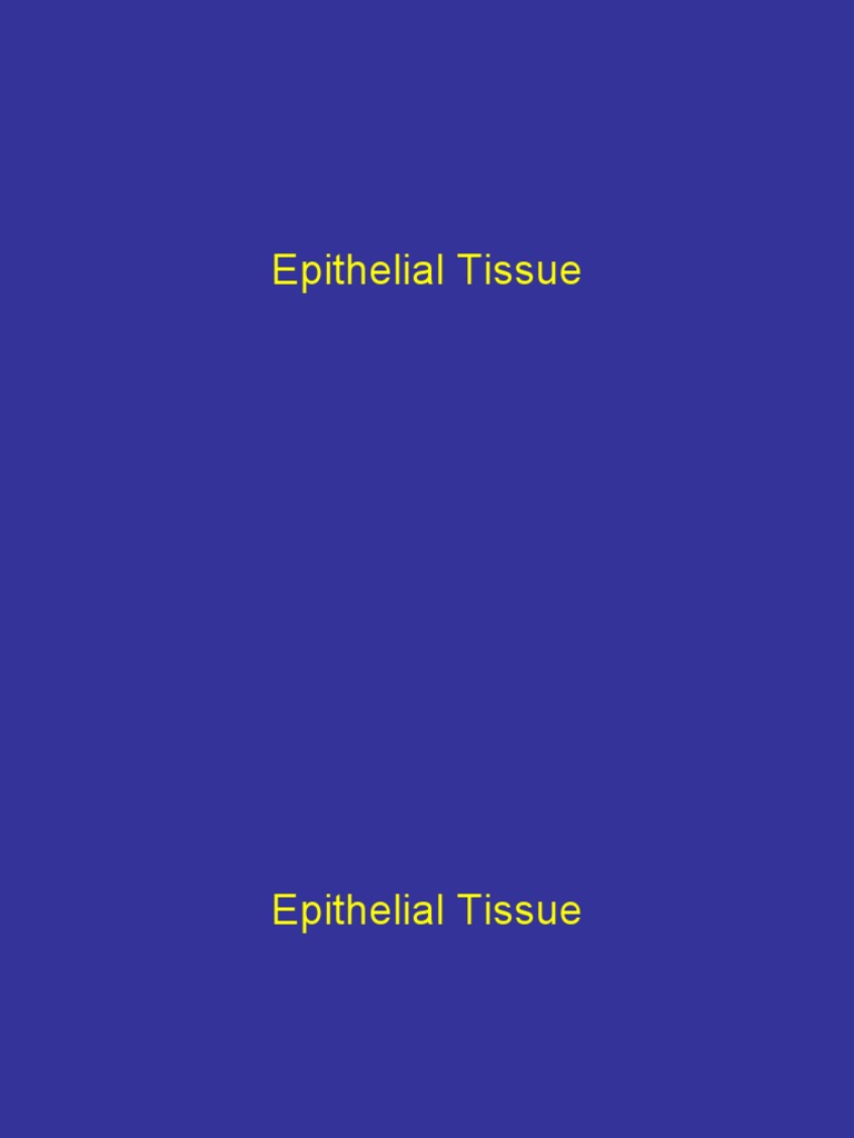 Epithelial Tissue | PDF | Epithelium | Microscopy