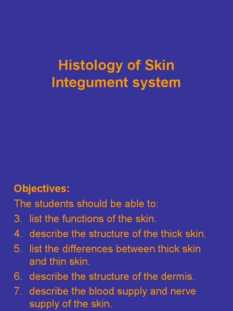 Skin Histology: Structure and Functions | PDF | Skin | Epidermis