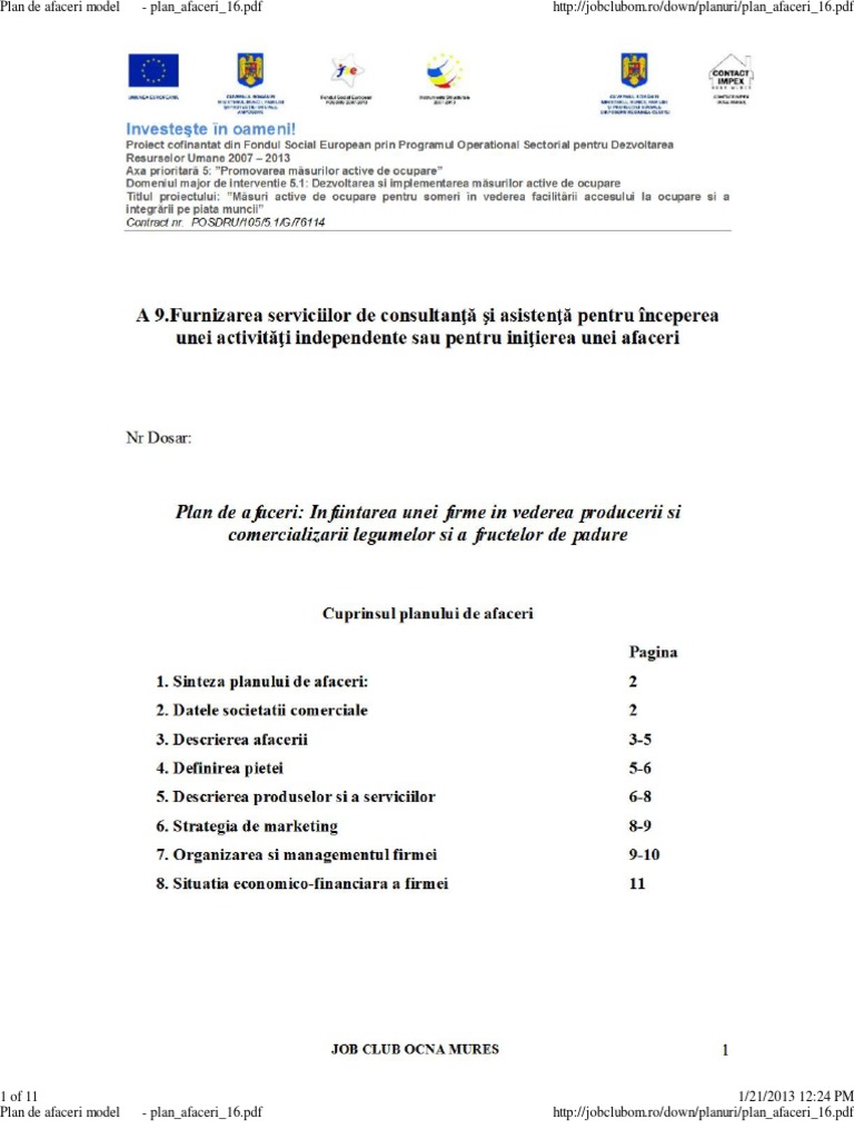 Plan de afaceri modelЄЄ - plan - afaceri - 16 | PDF