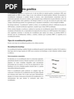 Sesión 6 - Recombinación Genética | PDF | Recombinación genética | Adn