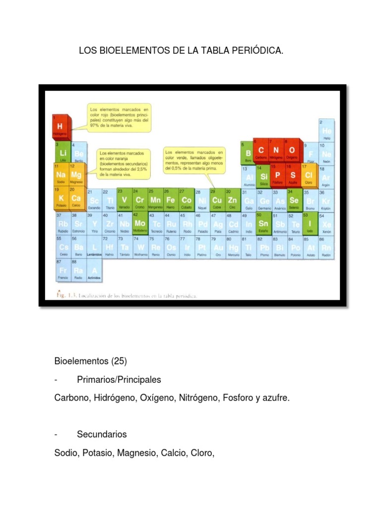 Los Bioelementos de La Tabla Periódica | PDF