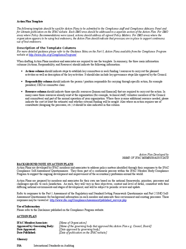 Action Plan Template | PDF | Accounting | Business