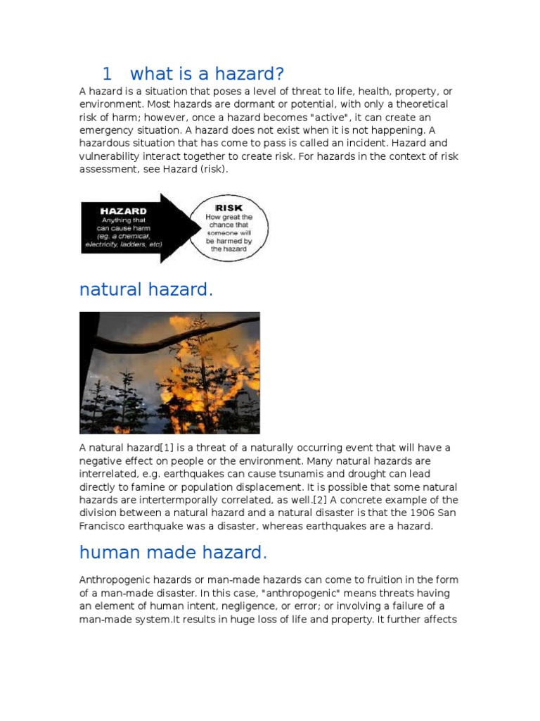 Social Hazard | PDF