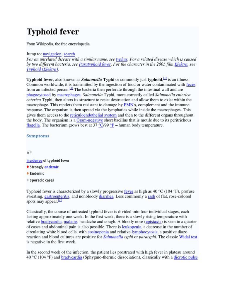 Typhoid Fever-Patho Physiology | PDF | Microbiology | Medical Specialties