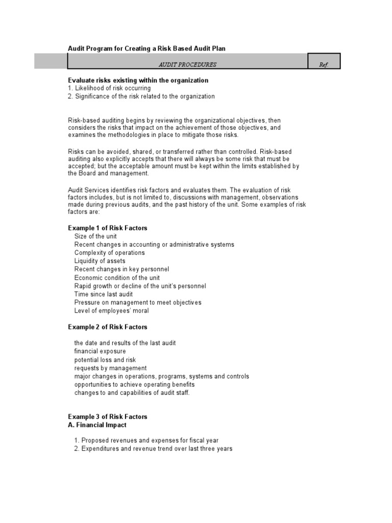 Risk Based Audit Planning | PDF | Risk | Audit