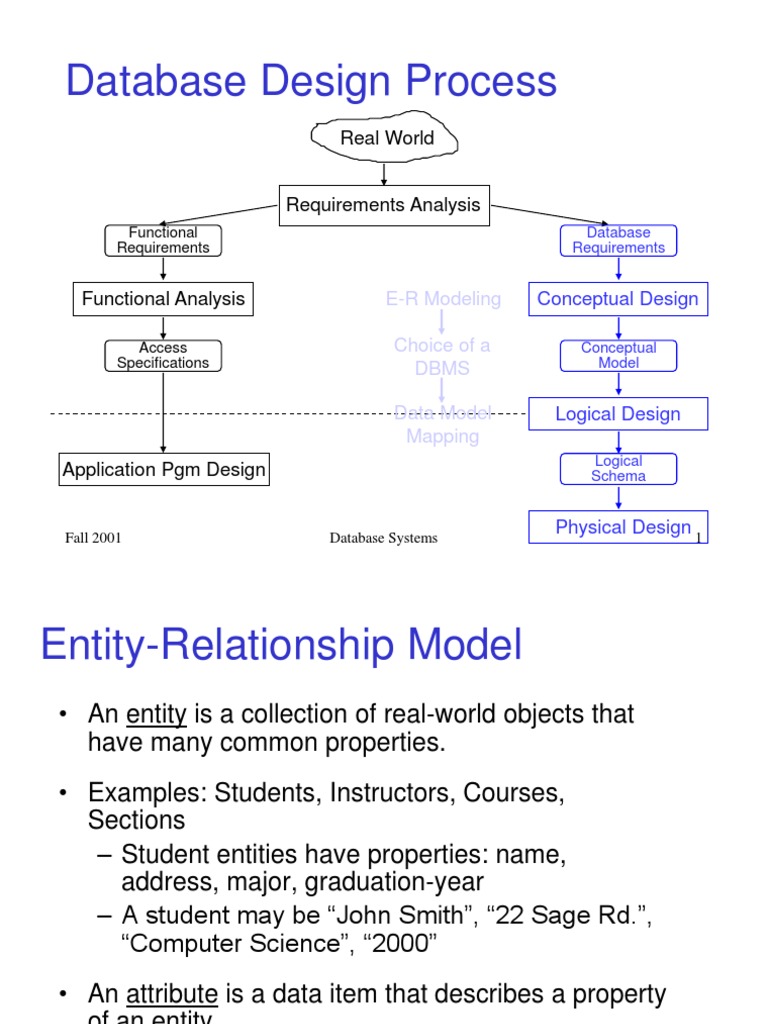 Database Design Process: Real World | PDF | Conceptual Model | Databases