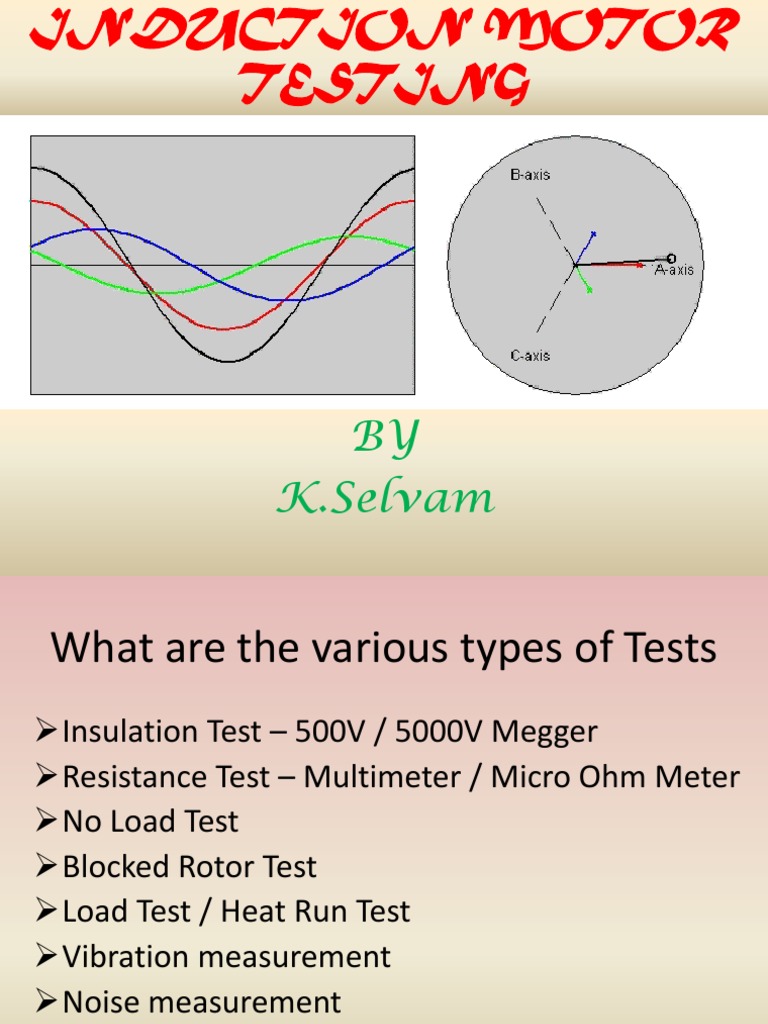 Induction Motor Testing | PDF | Electric Motor | Insulator (Electricity)