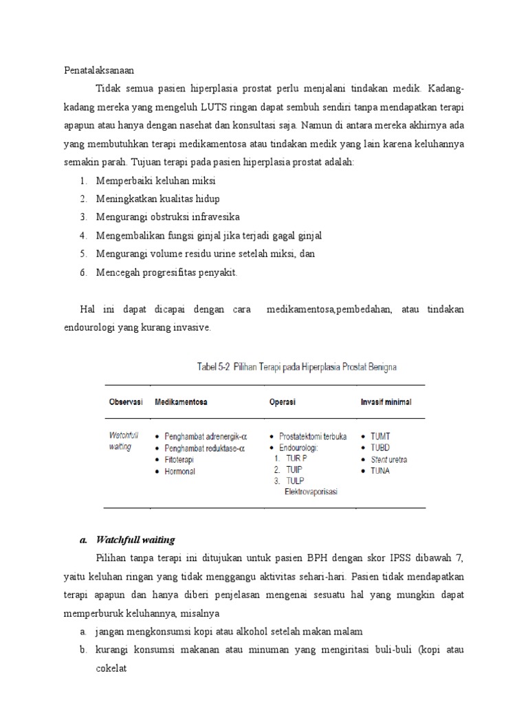 Penatalaksanaan BPH | PDF