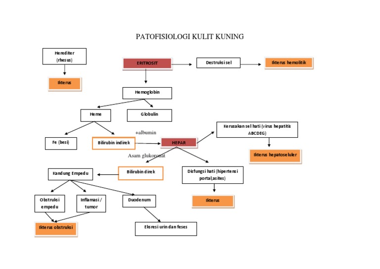 Patofisiologi Kulit Kuning | PDF