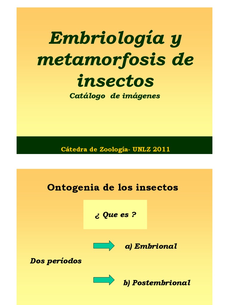 04.metamorfosis Agr Zootec | PDF