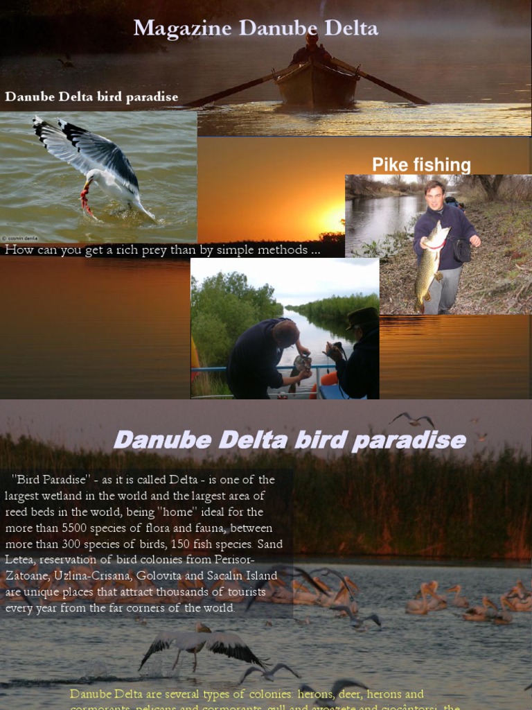 Danube Delta: A Fishing and Birding Haven | PDF | Fishing Rod | River Delta