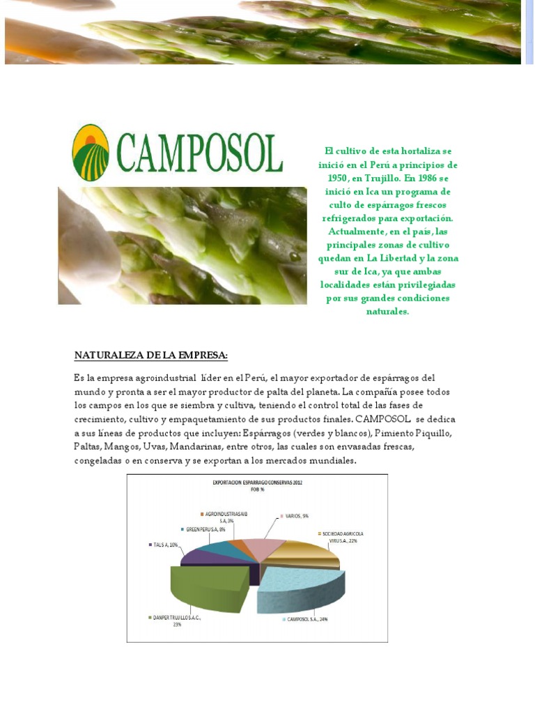 Empresa Camposol | PDF | Perú | Industrias