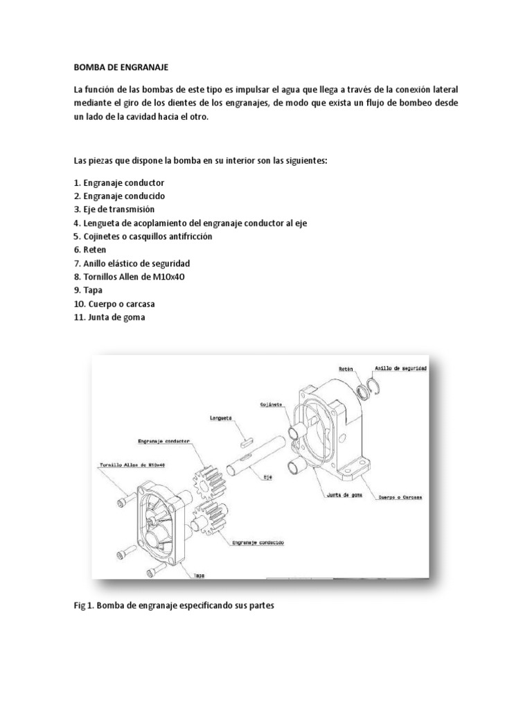 Bombas y Sus Partes | PDF | Bomba | Engranaje