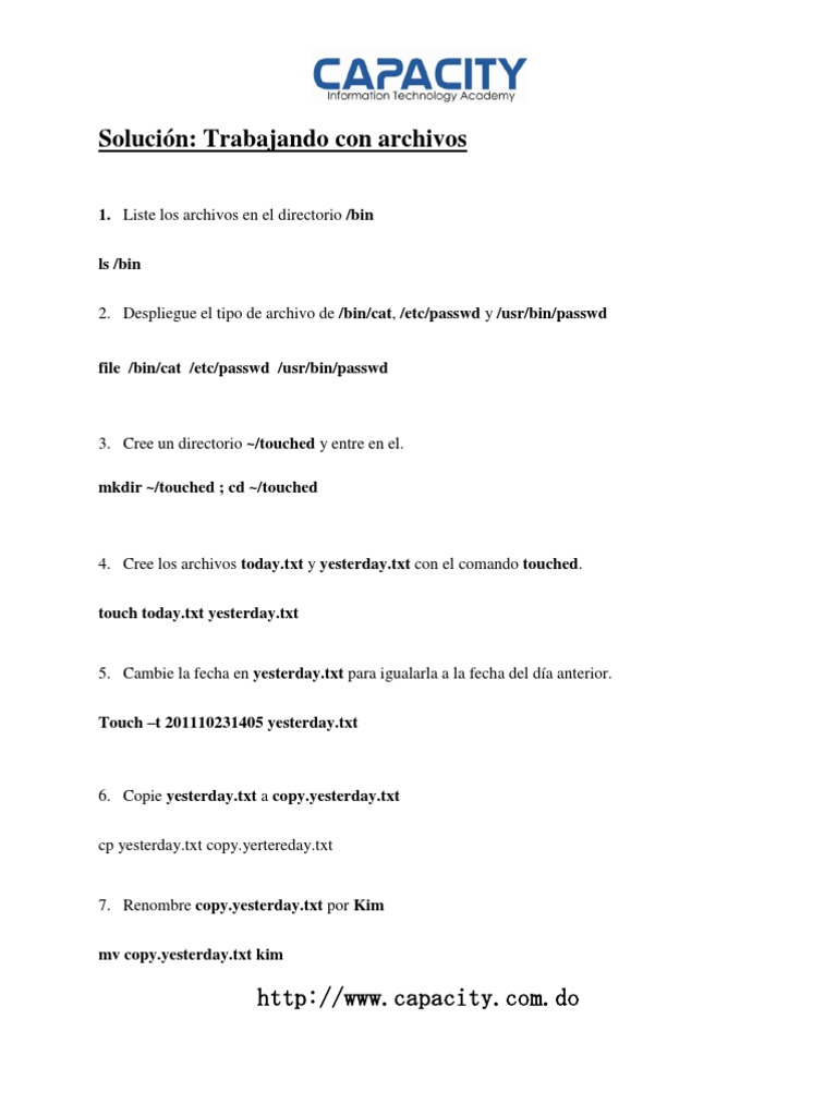 Practica Solucion Trabajando Con Archivos | PDF