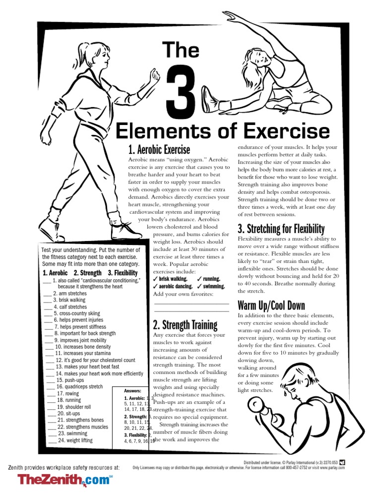 Three Elements of Exercise | PDF | Aerobic Exercise | Strength Training