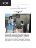 Shona Totems and Their Significance | PDF | Zoology