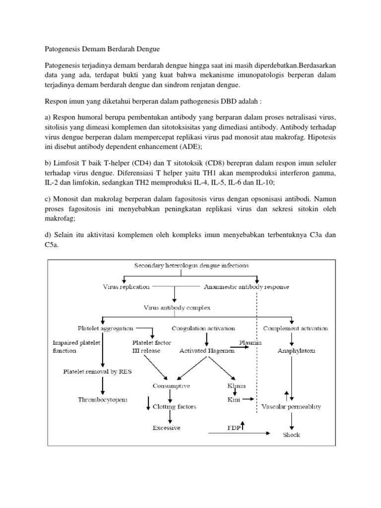 Patogenesis Demam Berdarah Dengue | PDF