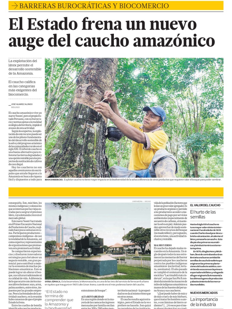 Negocio Caucho Amazonia Peru | PDF | Caucho natural | Selva amazónica