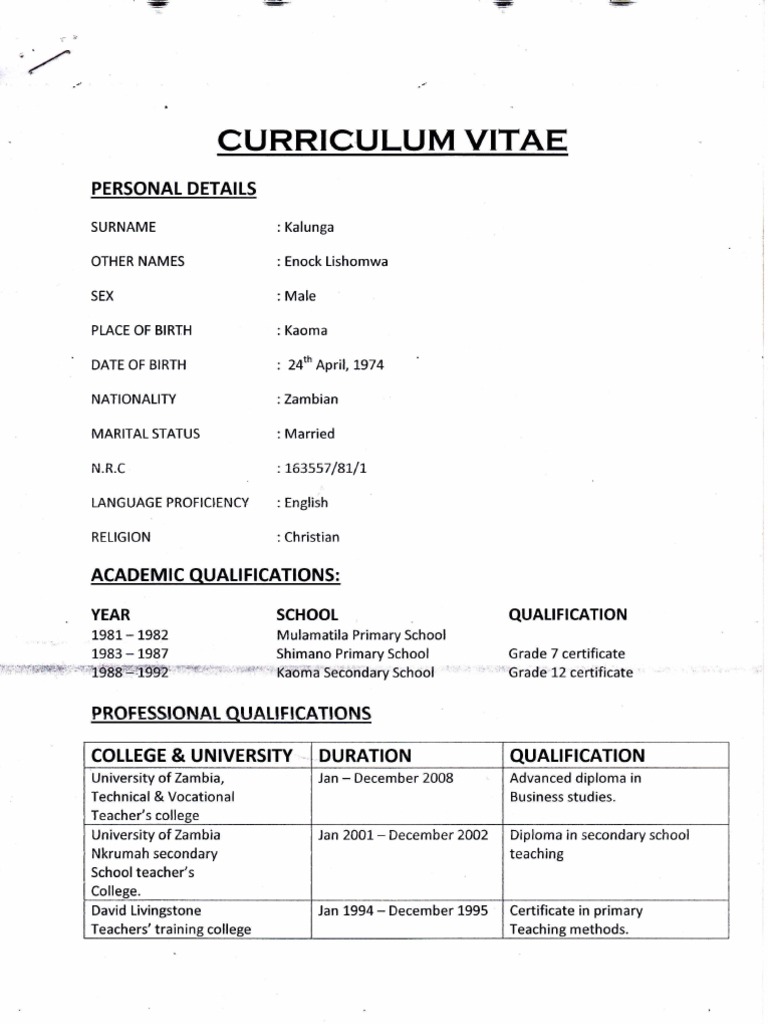 Grade 12 CV Example for Zambia | PDF | Science & Mathematics