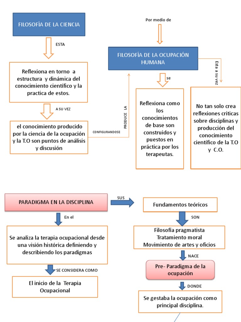 Paradigmas de La Terapia Ocupacional | PDF | Terapia ocupacional ...