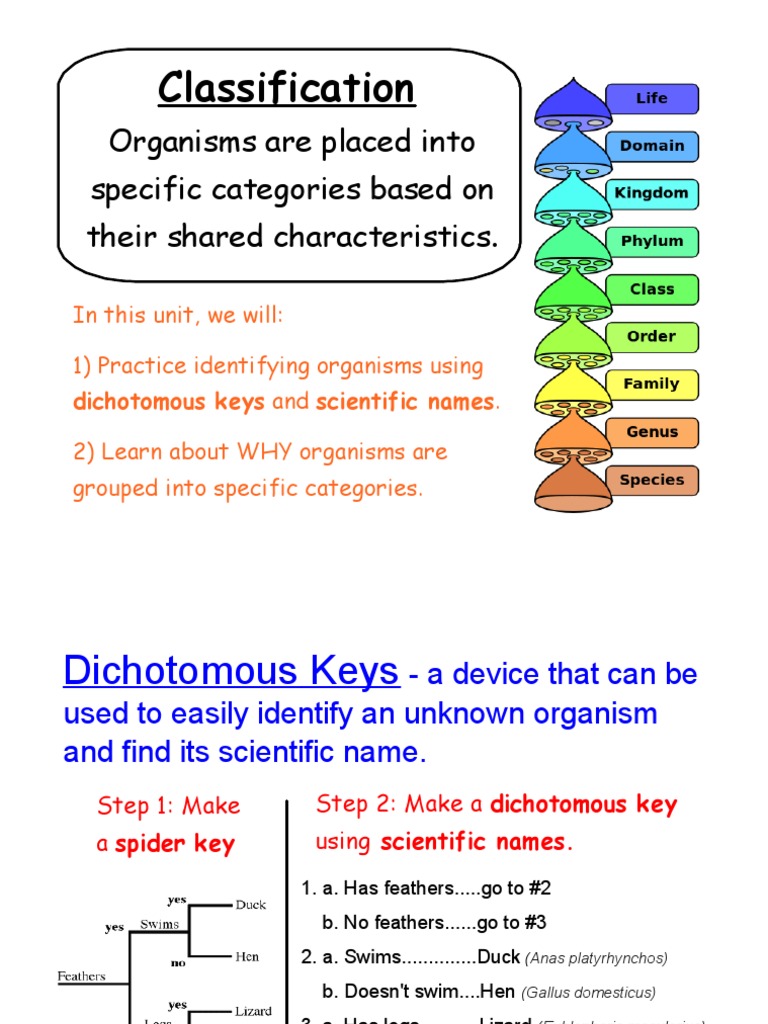 Taxonomic Classification and Keys | PDF