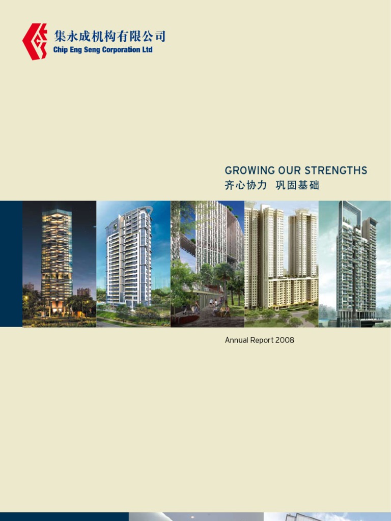 Chip Eng Seng Annual Report 2008 | PDF | Board Of Directors | Leverage ...
