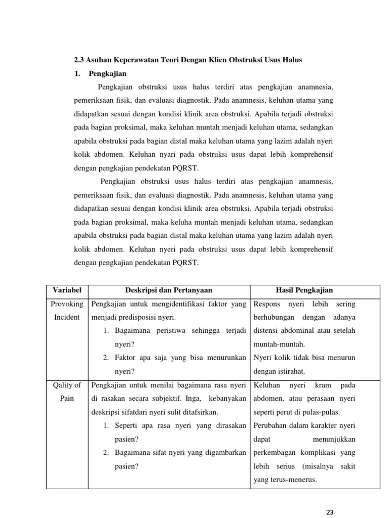 Askep Teori Obstruksi Usus Halus | PDF