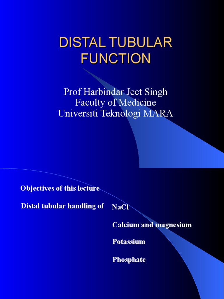 Tubular Function (Distal Tubule) | PDF | Kidney | Nature