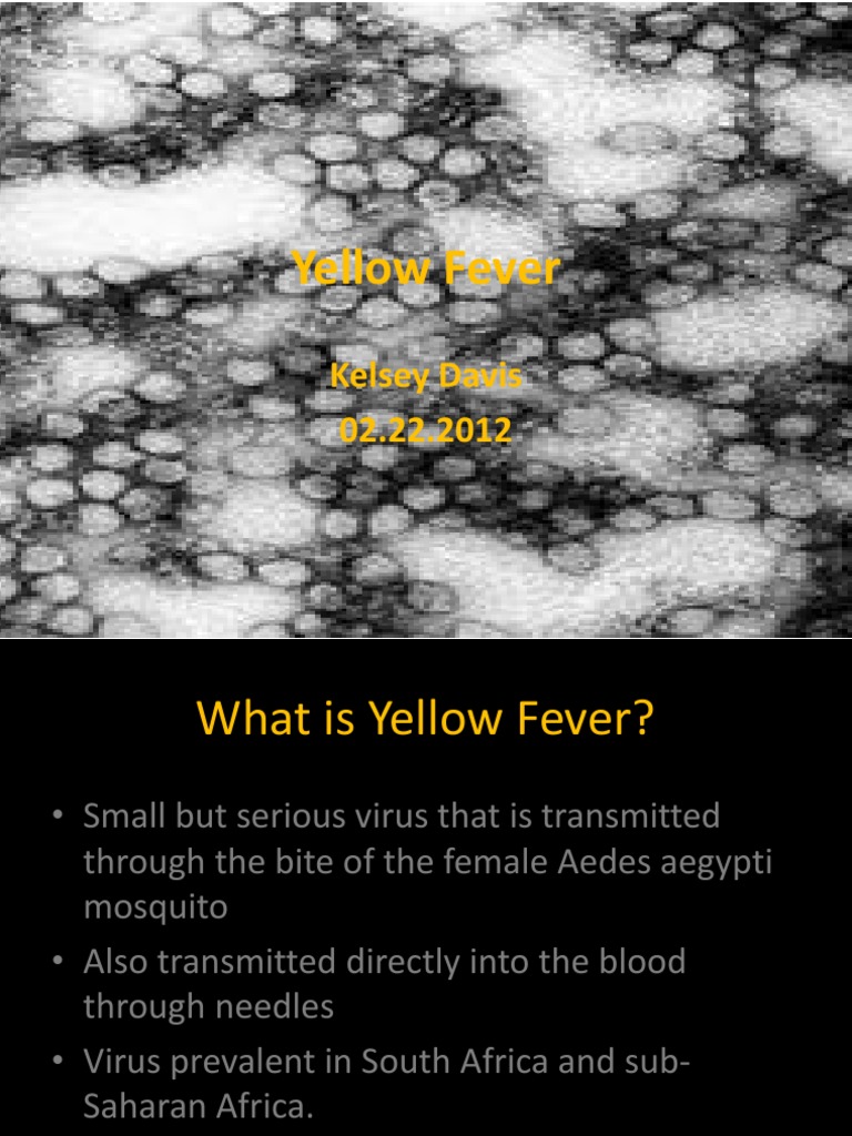 An Overview of the Yellow Fever Virus: Symptoms, Transmission ...