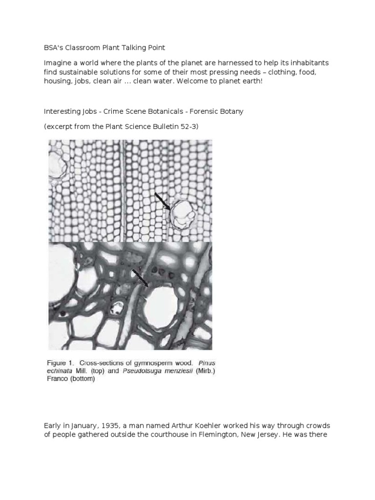 Forensic Botany | PDF | Forensic Science | Pollen