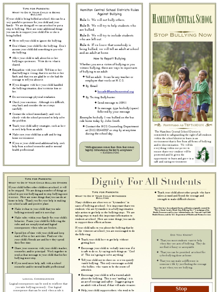 Bullying Brochure Print Out Pdf