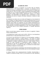 Evolución de Las Formas Precelulares | PDF | Organismos | Eucariotas