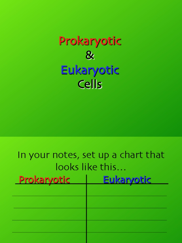 Prokaryotes Eukaryotes Pdf Wellness Science Mathematics