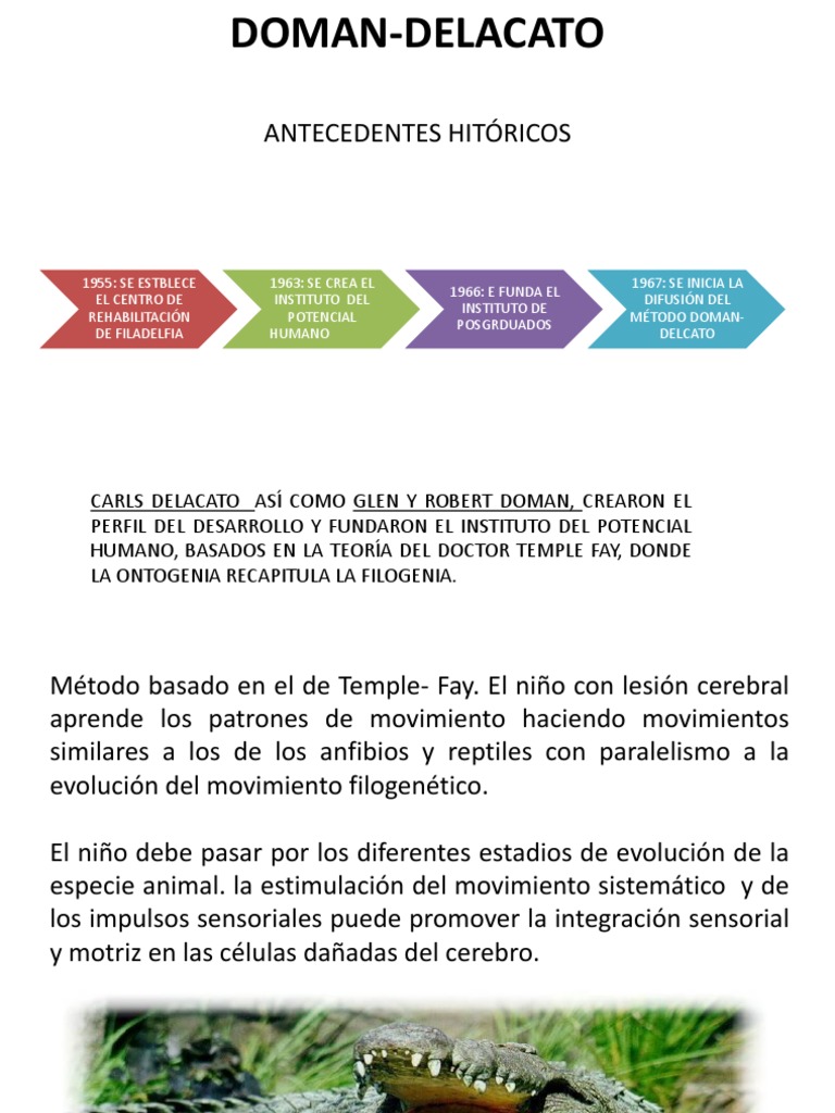 Doman Delacato | PDF | Cerebro | Ritmo