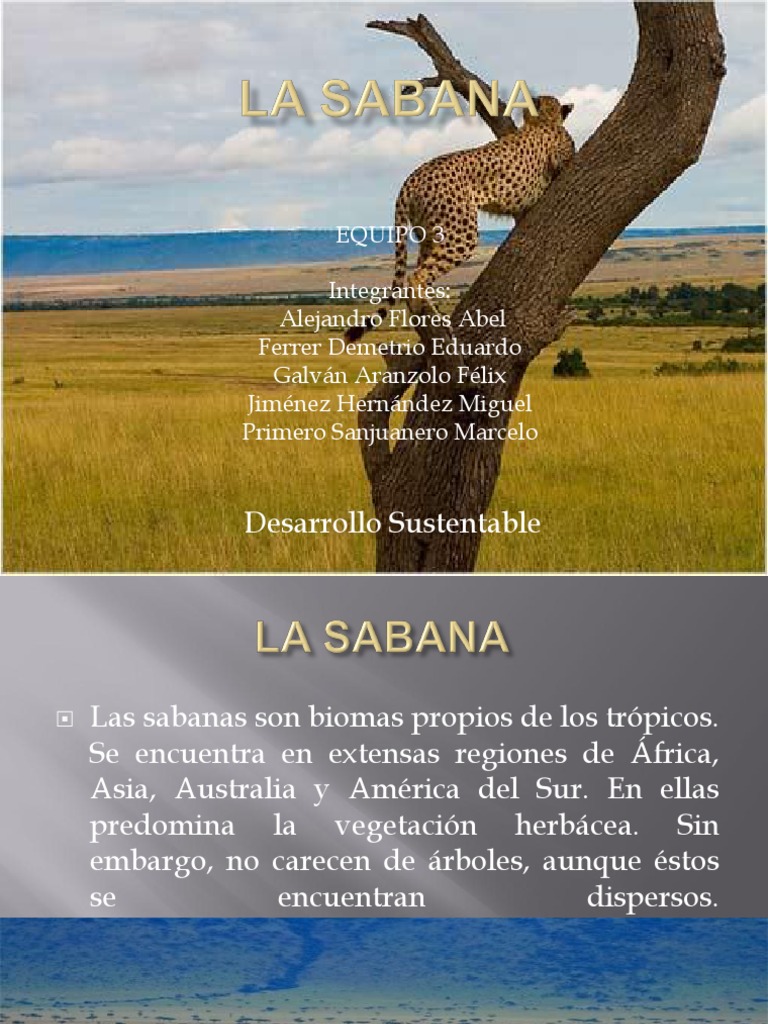 La Sabana | PDF | Suelo | Temporada húmeda