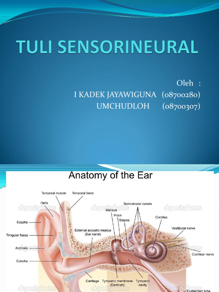 Tuli Sensorineural | PDF