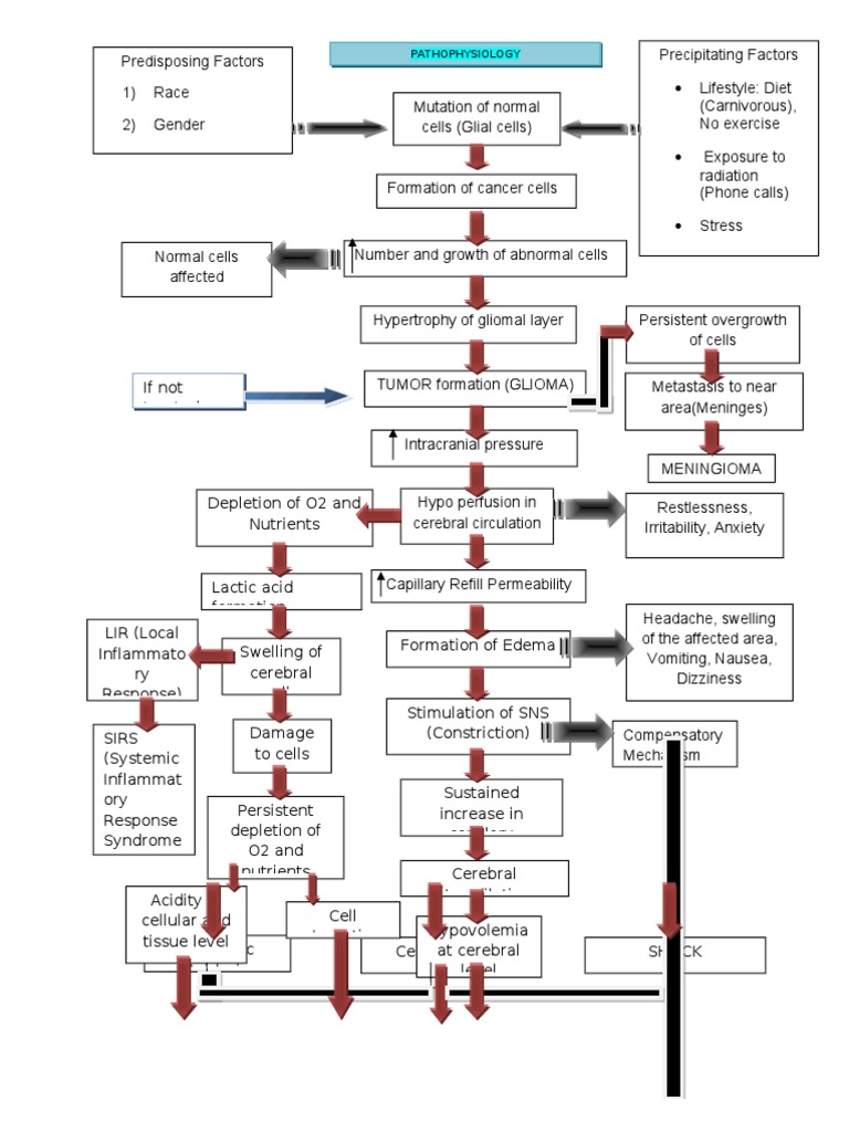 Pathophysiology (Glioma)