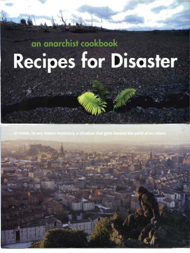 Recipes For Disaster: An Anarchist Cookbook | PDF | Voting | Elections