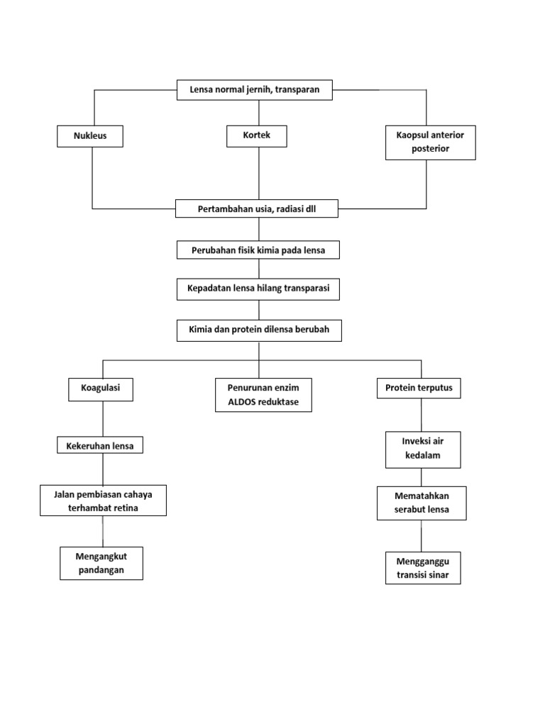 Kel 2 Pathway Katarak | PDF
