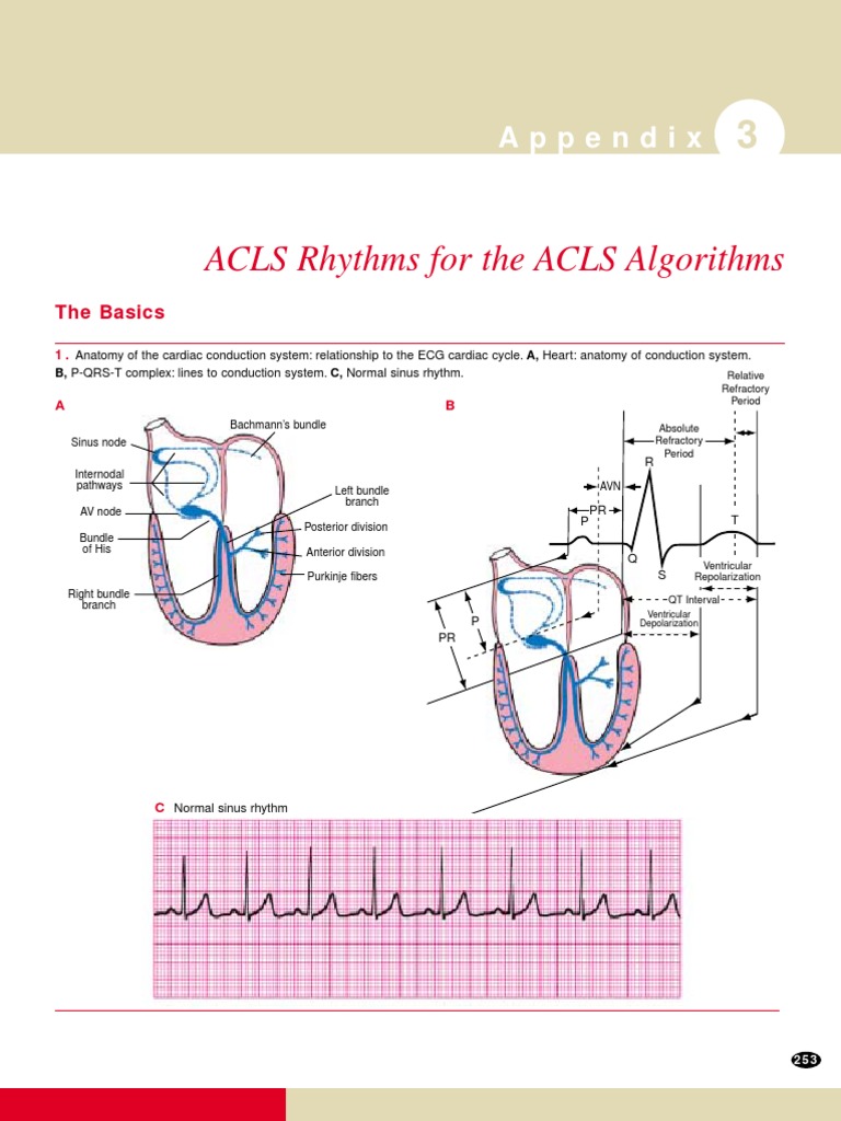Acls | PDF | Electrophysiology | Cardiovascular Physiology