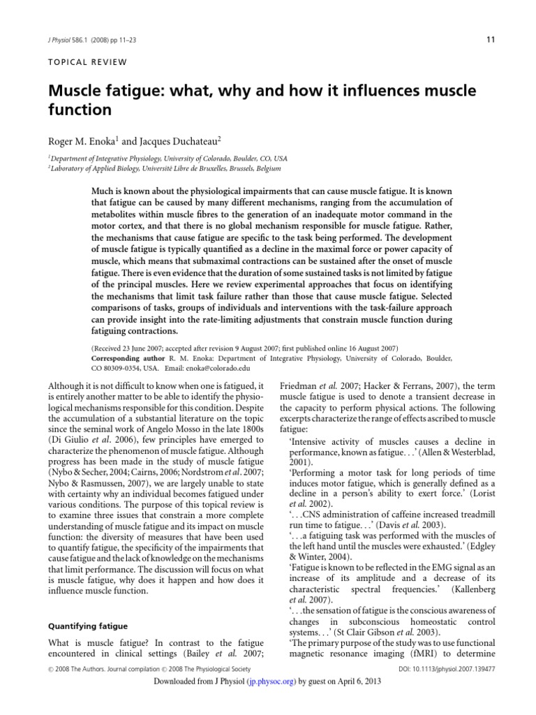 Muscle Fatigue | PDF | Muscle Contraction | Fatigue (Medical)