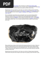 Batu Rijang Dan Proses Pembentukannya | PDF | Ilmu Sosial