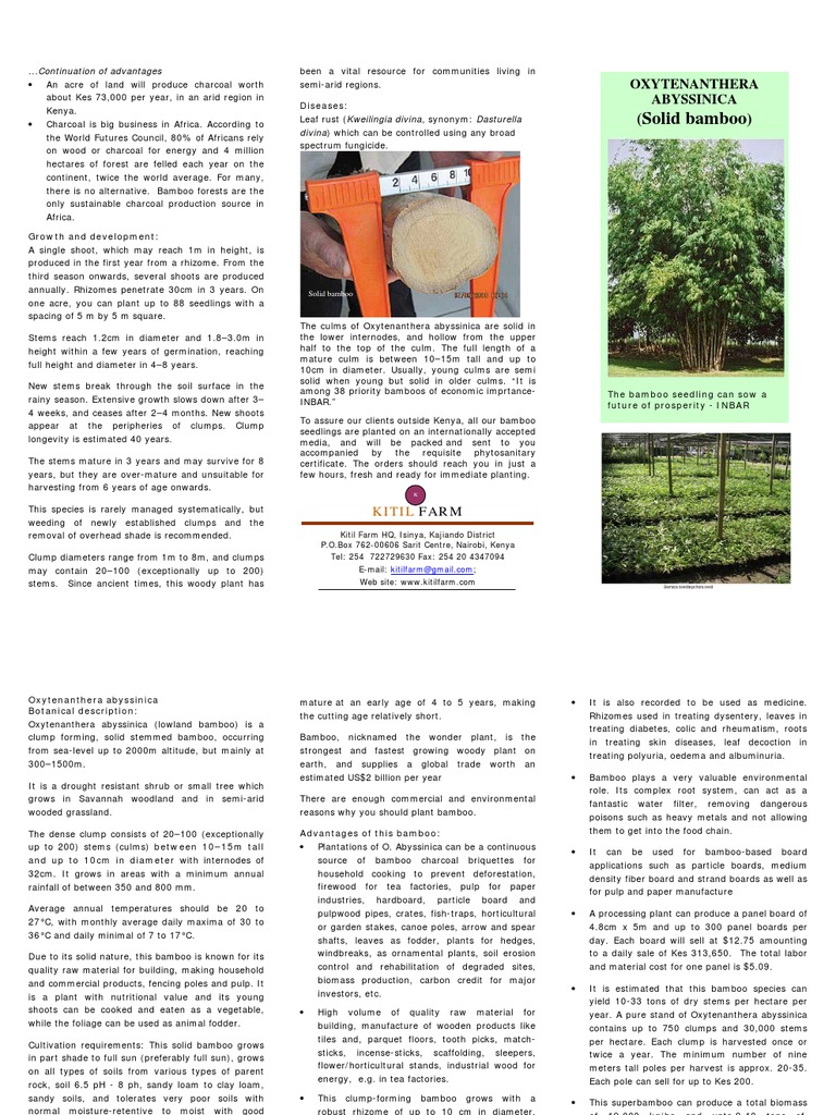 Brochure On Bamboo - RVSD | PDF | Bamboo | Plant Stem