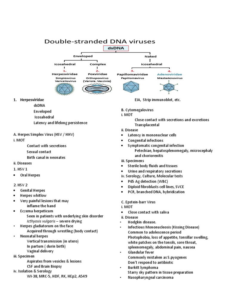 dsDNA viruses classification and diseases | PDF | Adenoviridae | Virus