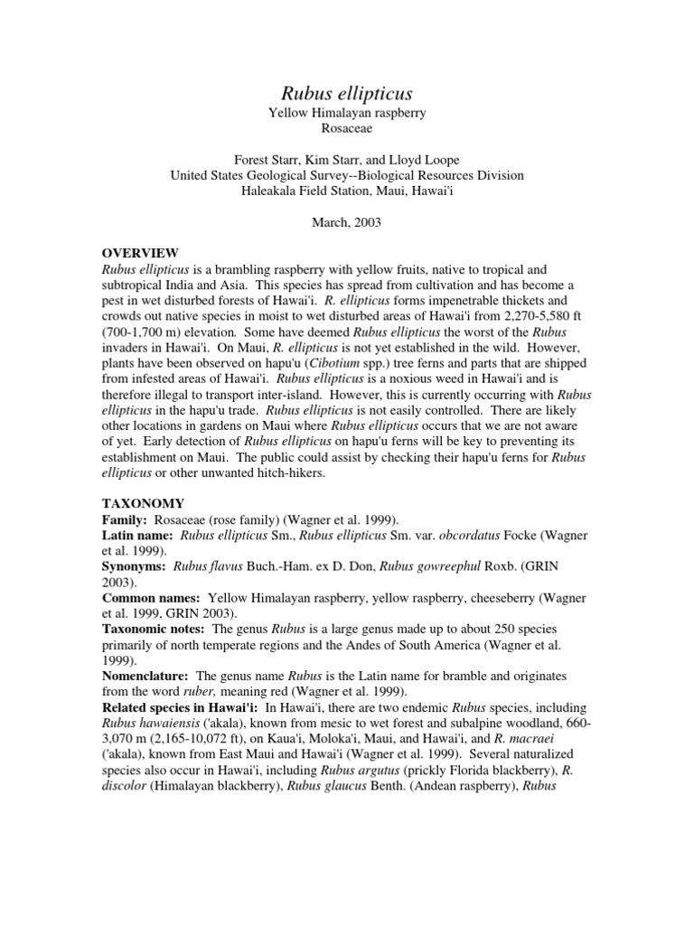 An In-Depth Report on the Invasive Yellow Himalayan Raspberry (Rubus ...