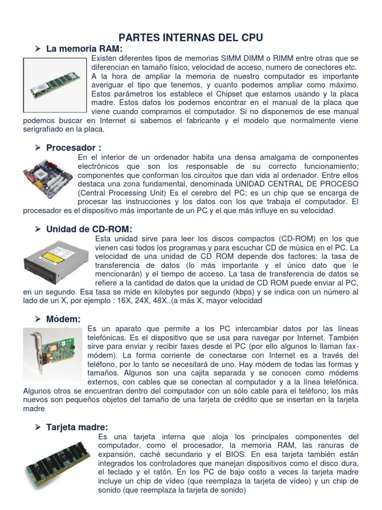 Partes Internas Del Cpu | PDF | USB | Periférico