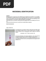 EnteroPluri Tube: Biochemical Testing Guide | PDF | Biology | Microbiology
