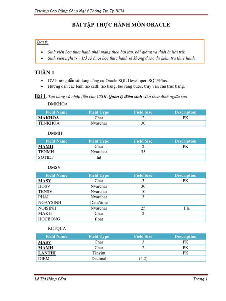 Bai Tap Thuc Hanh Oracle Co Cam | PDF